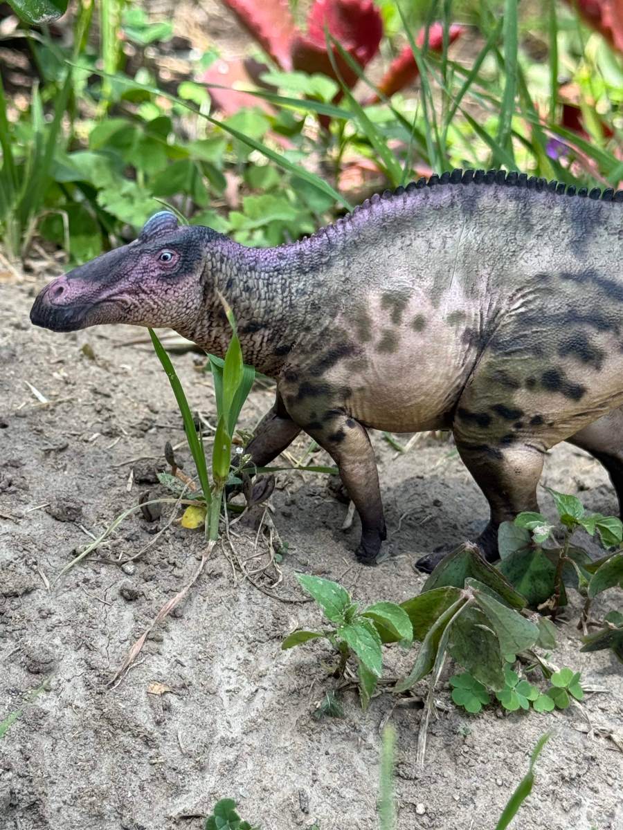 Edmontosaurus regalis – Haolonggood (2024) – AuroSwords