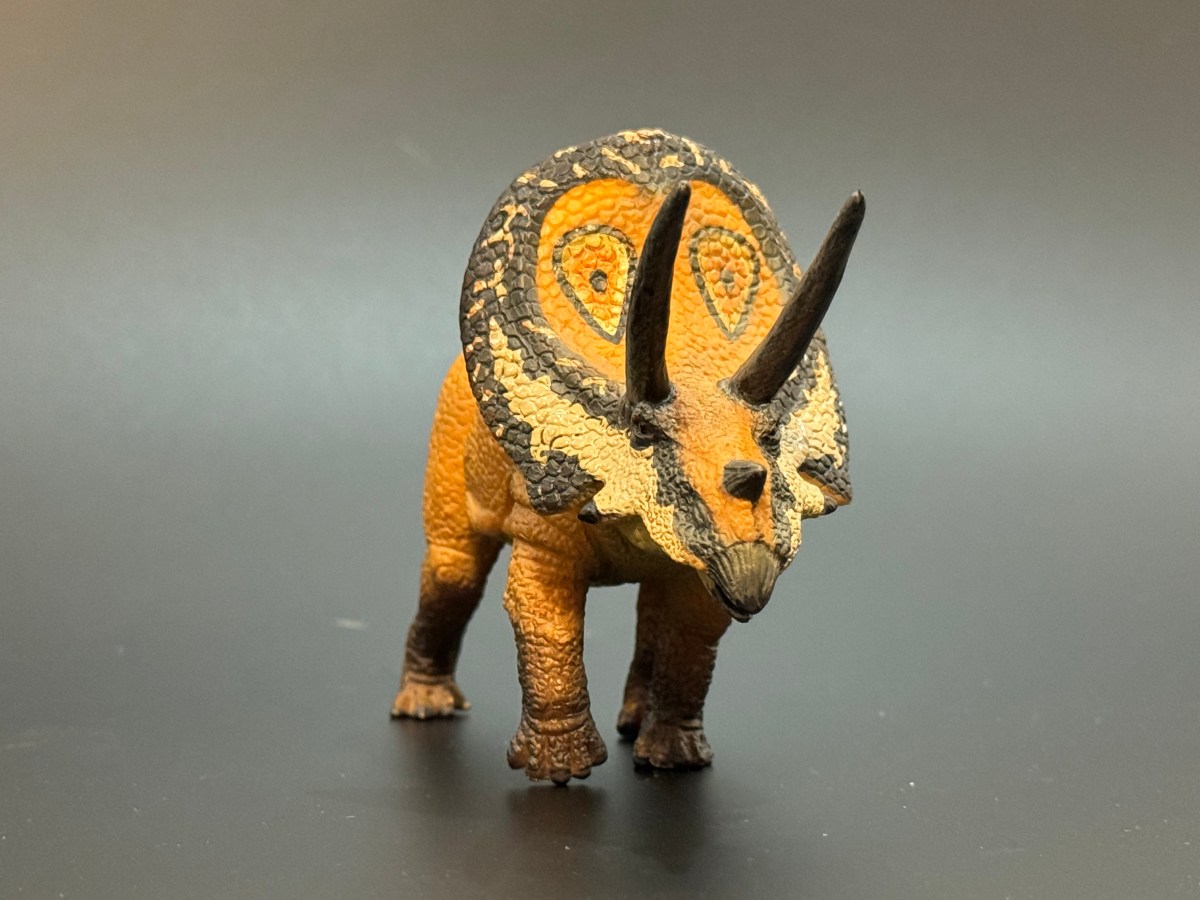 Torosaurus latus – CollectA (2011) – AuroSwords
